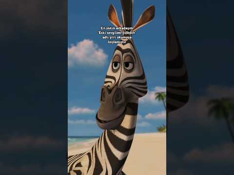 Bir. kelime. daha. söyleme.  #Madagascar #PrimeVideoTürkiye #Neİzlesem