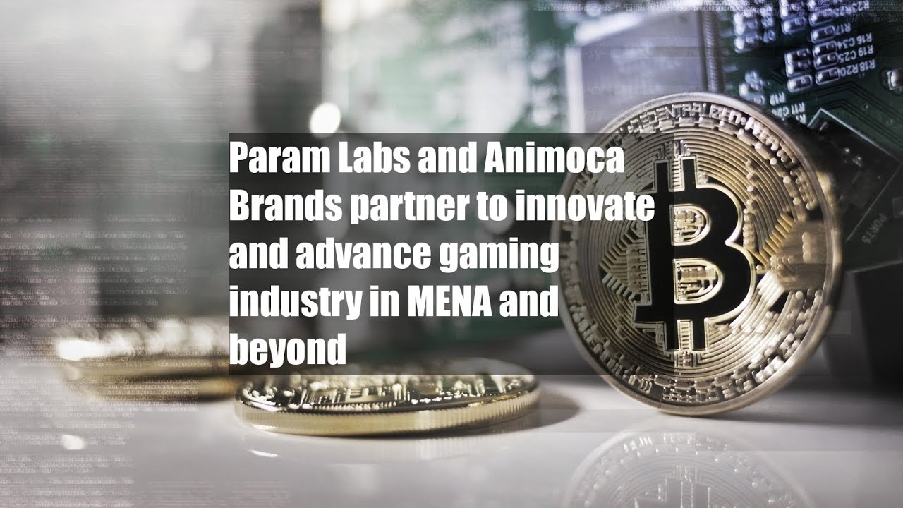 Param Labs and Animoca Brands partner to innovate and advance gaming ...