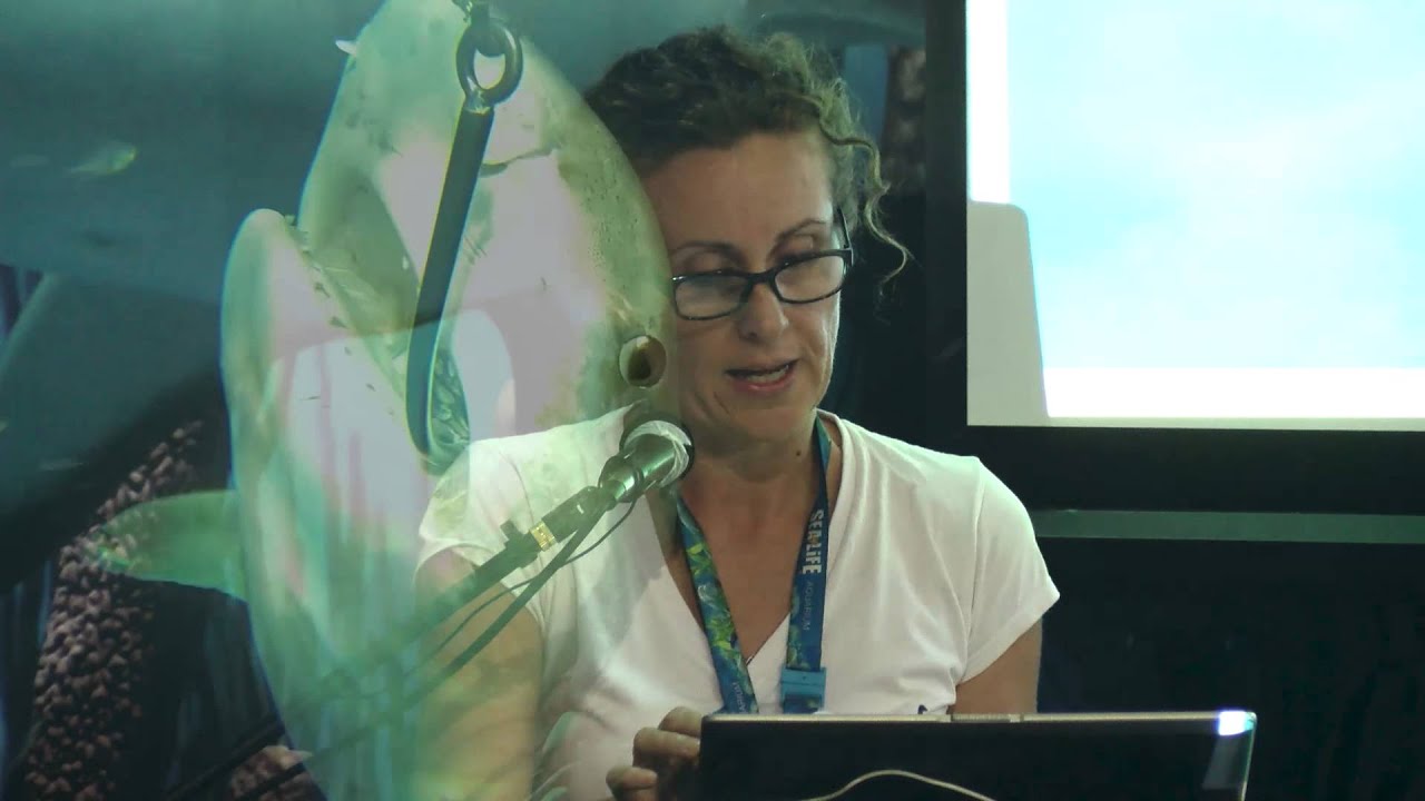 Lisa Mondy Shark Debate - YouTube