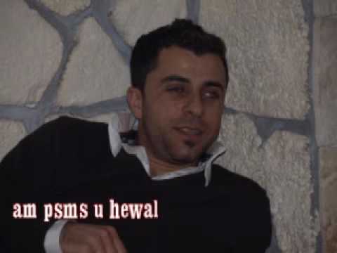 amir zaxoy