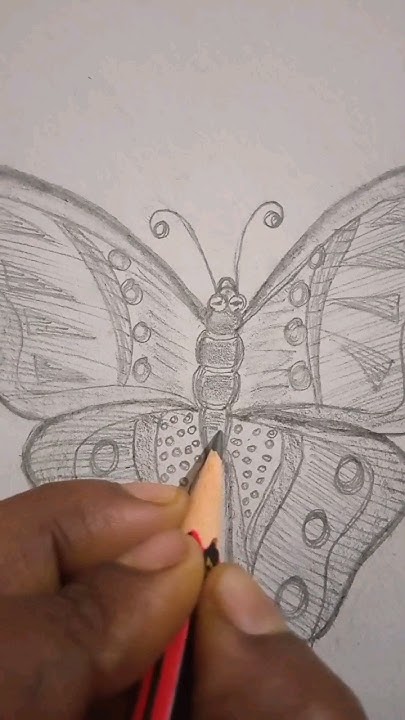 Sketch Drowing Arts Sketcharts Pencilart Titleesketch🦋 ️ Shorts Youtube