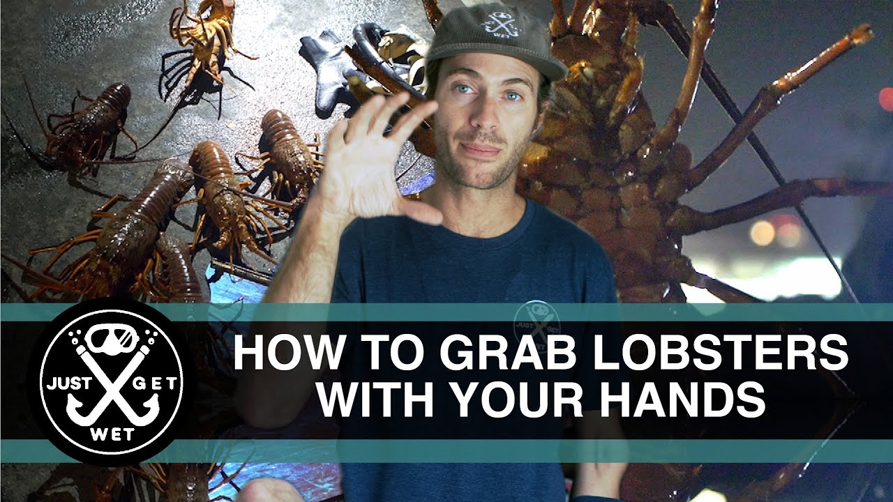 How To Grab a Lobster - Check the Technique - YouTube