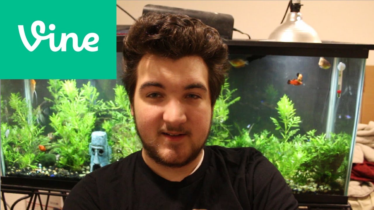 007K Vine Compilation, R.I.P. Vine + Some channel updates - YouTube
