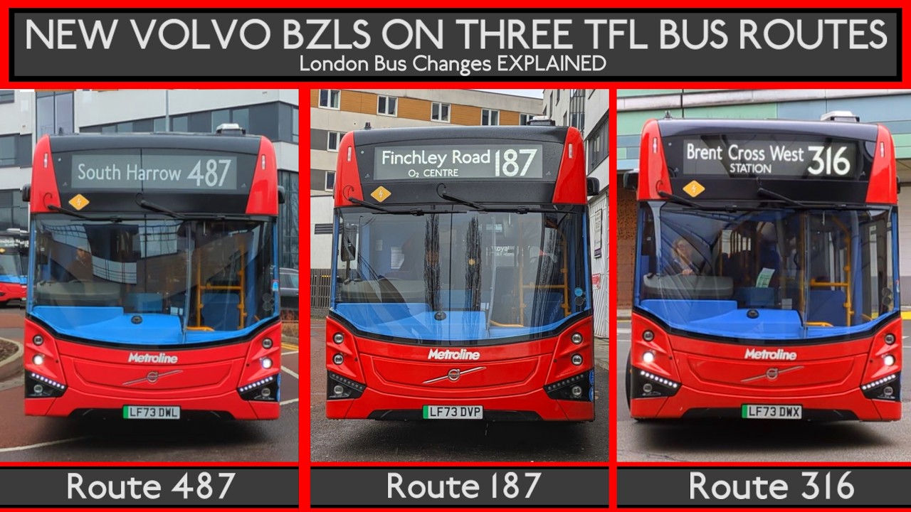 LONDON BUS CHANGES | BZLs Now On Routes 187, 316 and 487! (NEW ELECTRIC ...