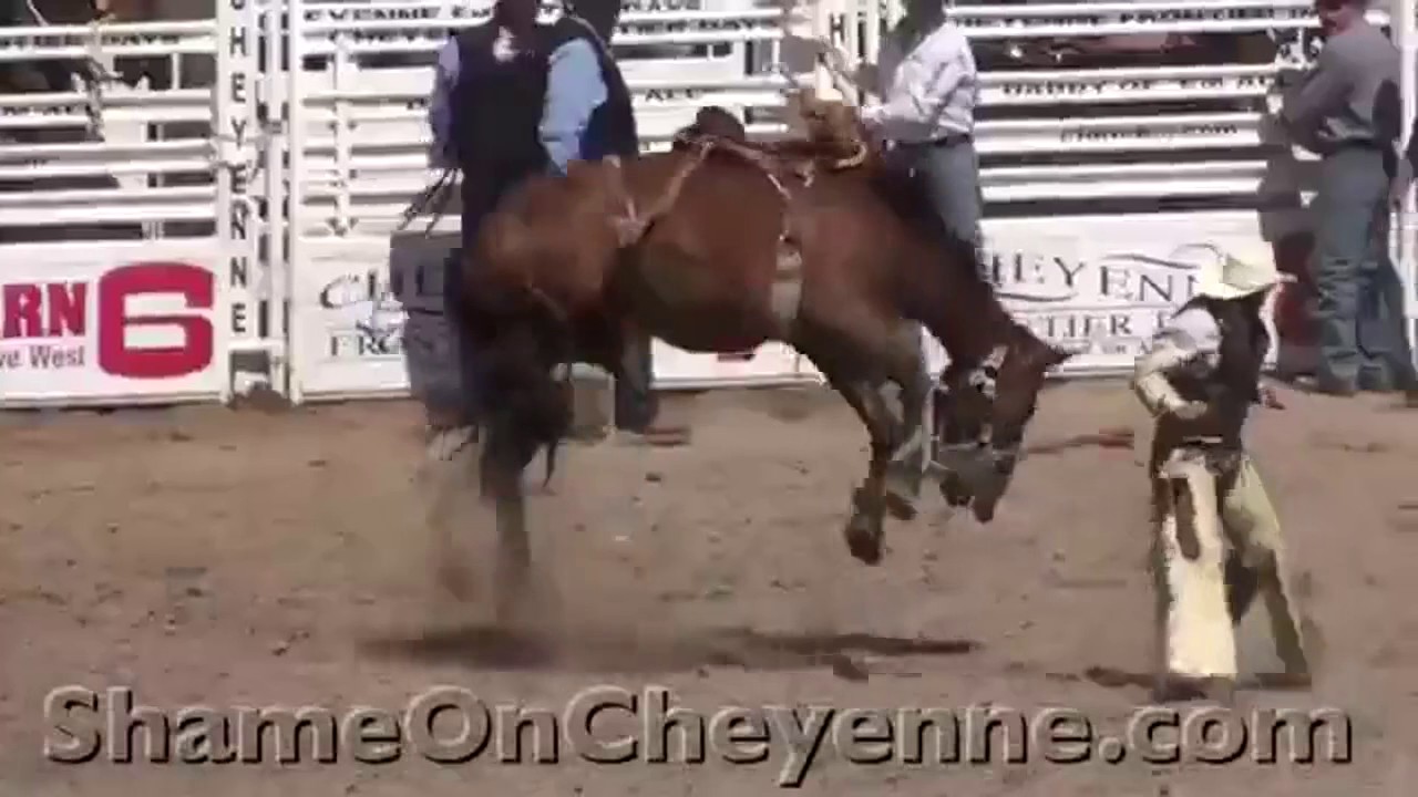 Rodeo Animal Abuse - YouTube