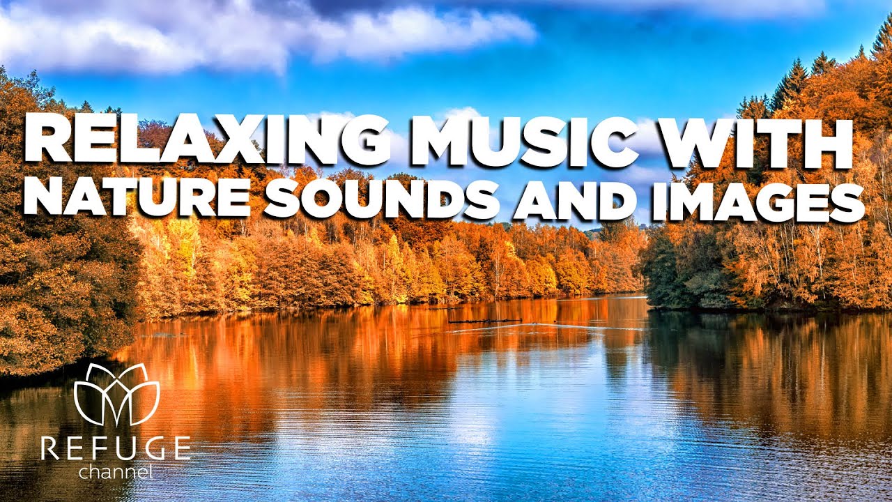 Relaxing Music with Nature Sounds and Images | Live Stream - YouTube