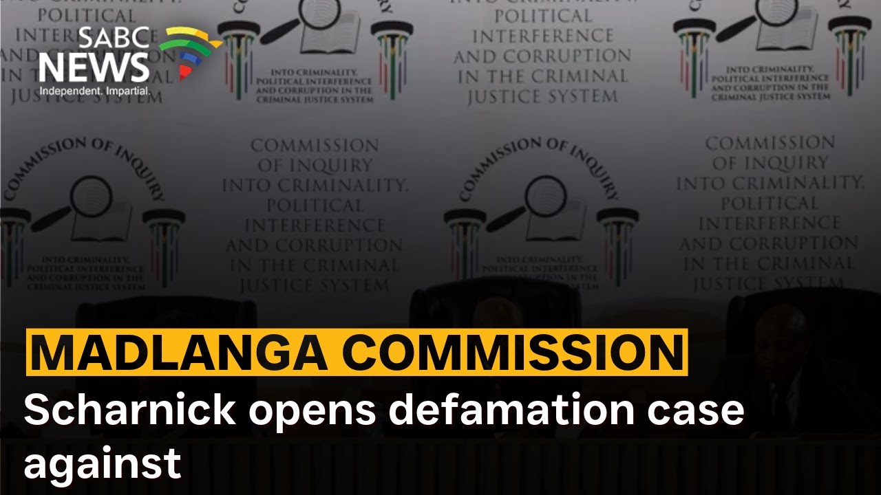 Madlanga Commission | Scharnick opens defamation case against Gen ...