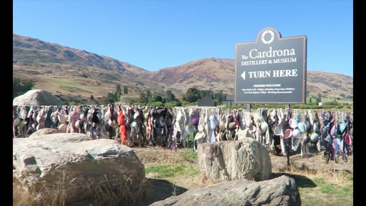 Bra Fence Long Line of Bras (Bradona) | YEESHIH [Waitangi Week Vlog #11 ...