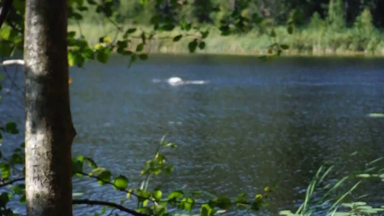 DEREK AND THE LAKE AGAIN - YouTube