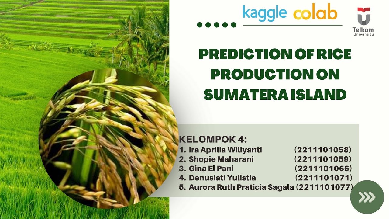 Prediksi Produksi Padi di Pulau Sumatera (Tugas Besar AI & BIG DATA ...