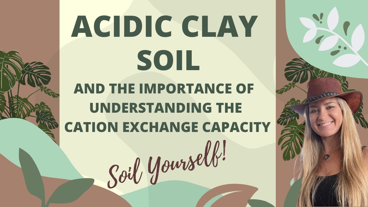 Dealing with acidic clay soil and understanding the importance of the ...