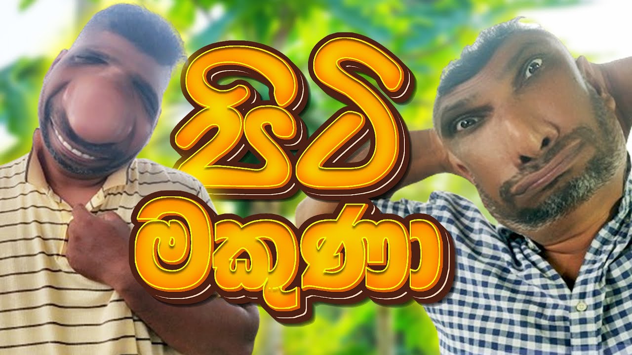 පිටි මකුණා | Piti Makuna | Peek Pook #peekpook #peekpooknew #pitimakuna ...