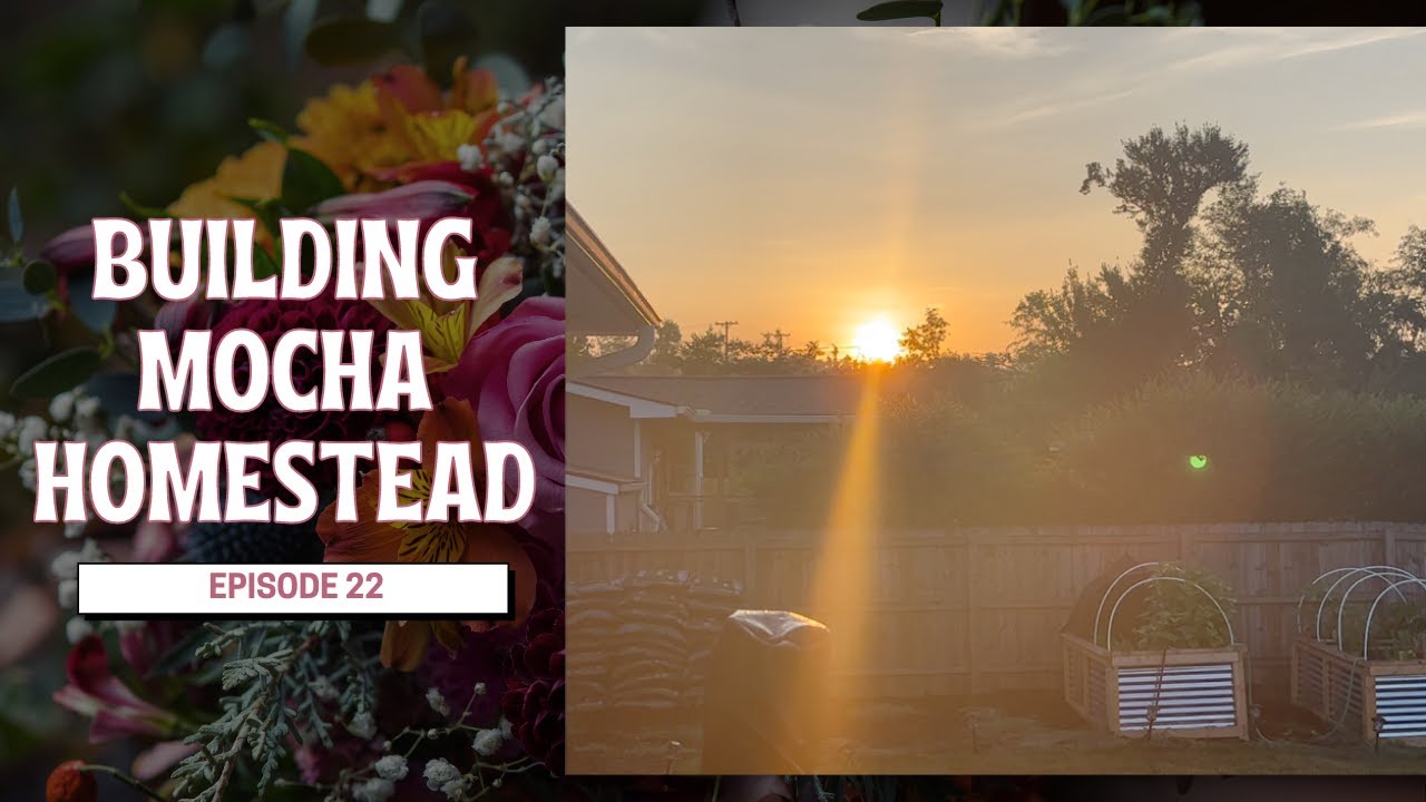 Building Mocha Homestead Episode 22 - YouTube