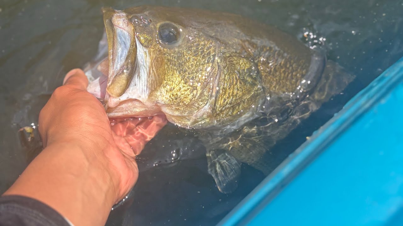 Yak fishing for bass (caught a 4 lber) - YouTube