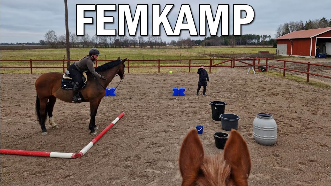 Femkamp med hästarna - Bella VS Tage - YouTube