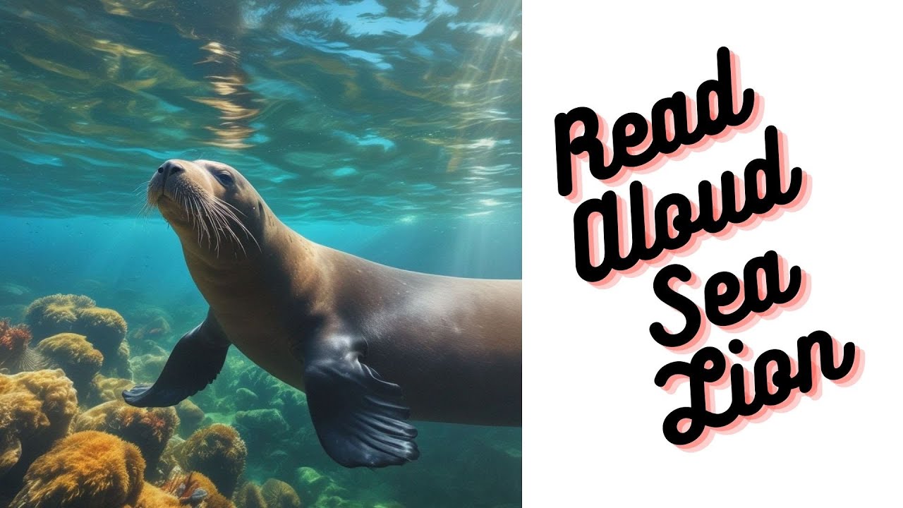 🦭 California Sea Lion Adventures | Aquatic Life Read Aloud Story for ...