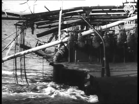 Fight To Save Half Tanker (1952) - YouTube
