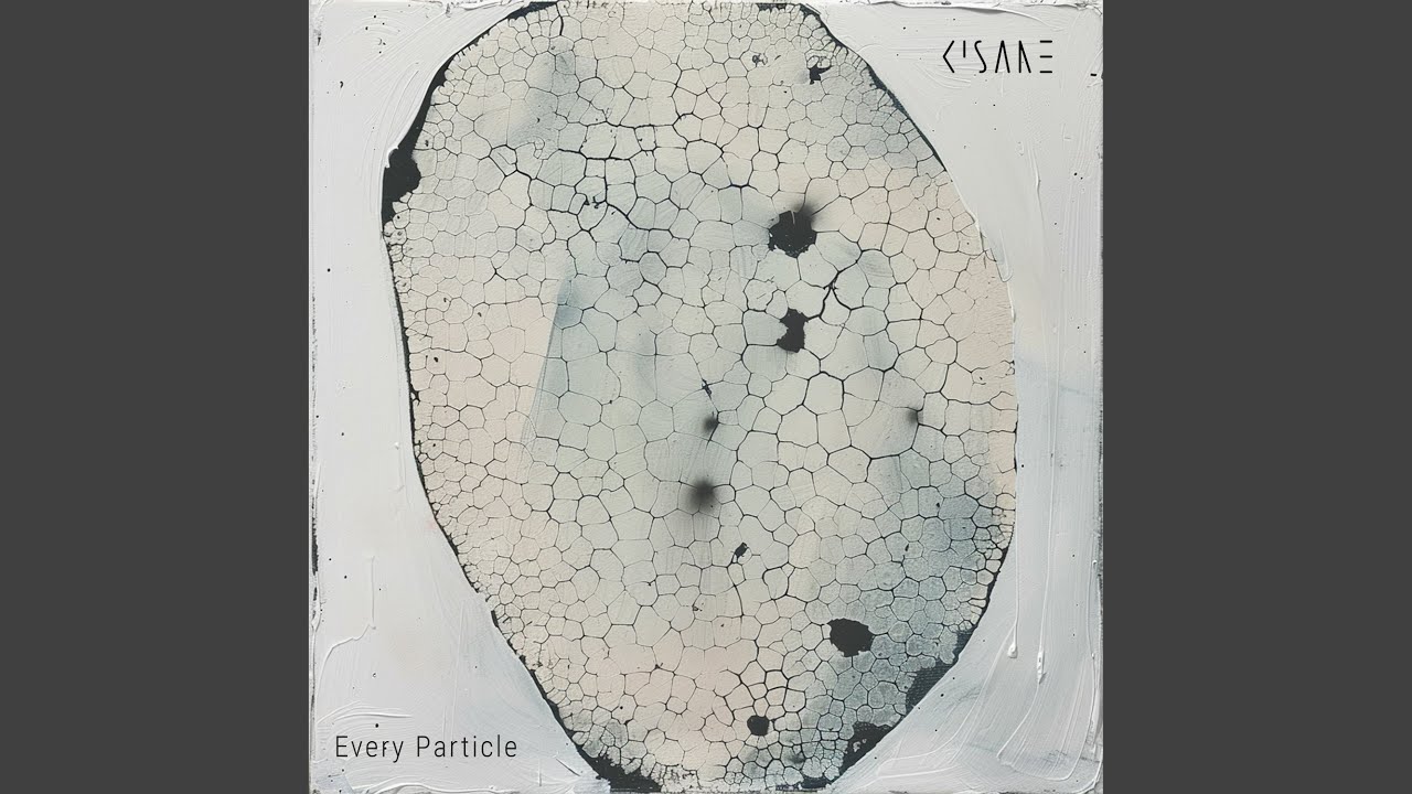 Every Particle Youtube 3333