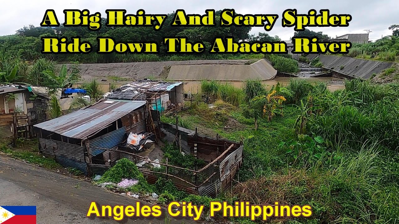 BIG HAIRY AND SCARY SPIDER & A RIDE DOWN THE ABACAN RIVER : ANGELES ...