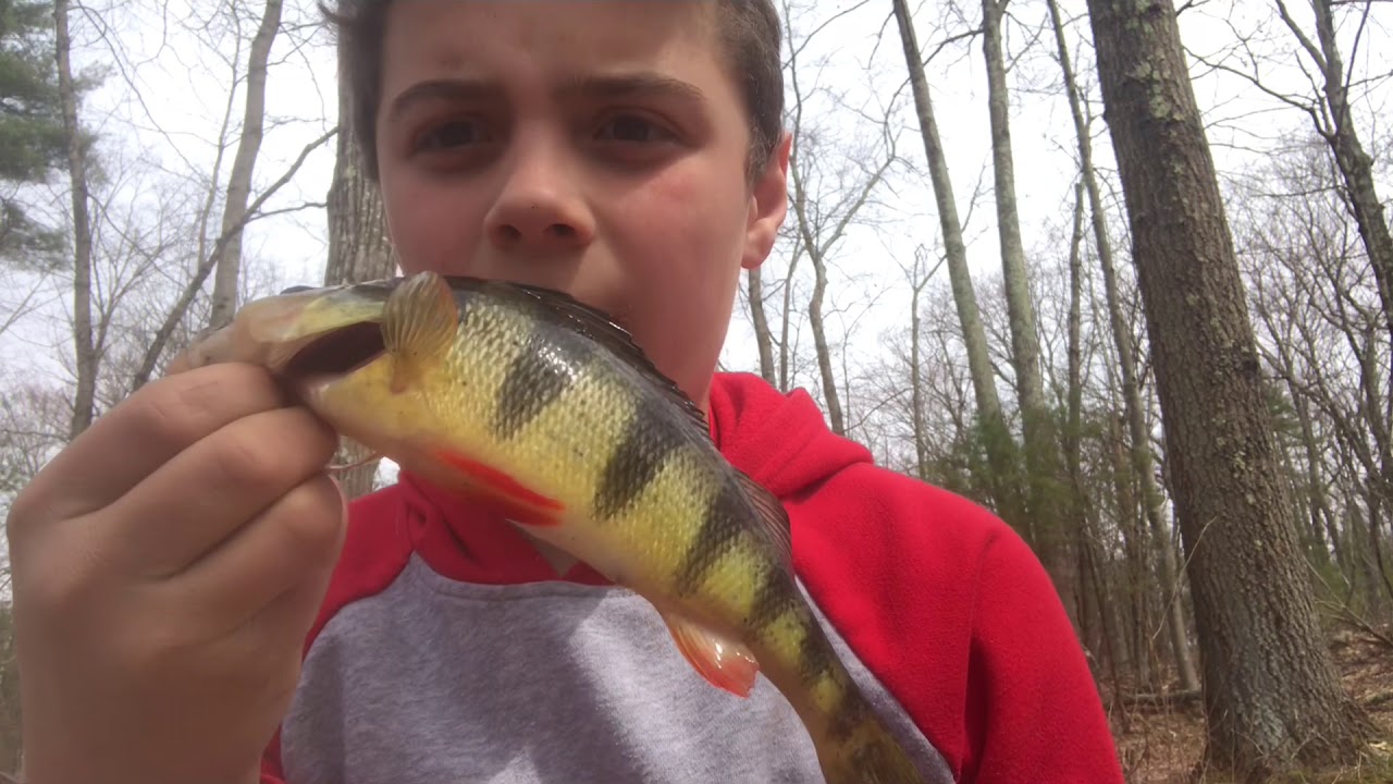 SLAYING fish in a small SHALLOW swamp HUGE SURPRISE!!!!!! - YouTube