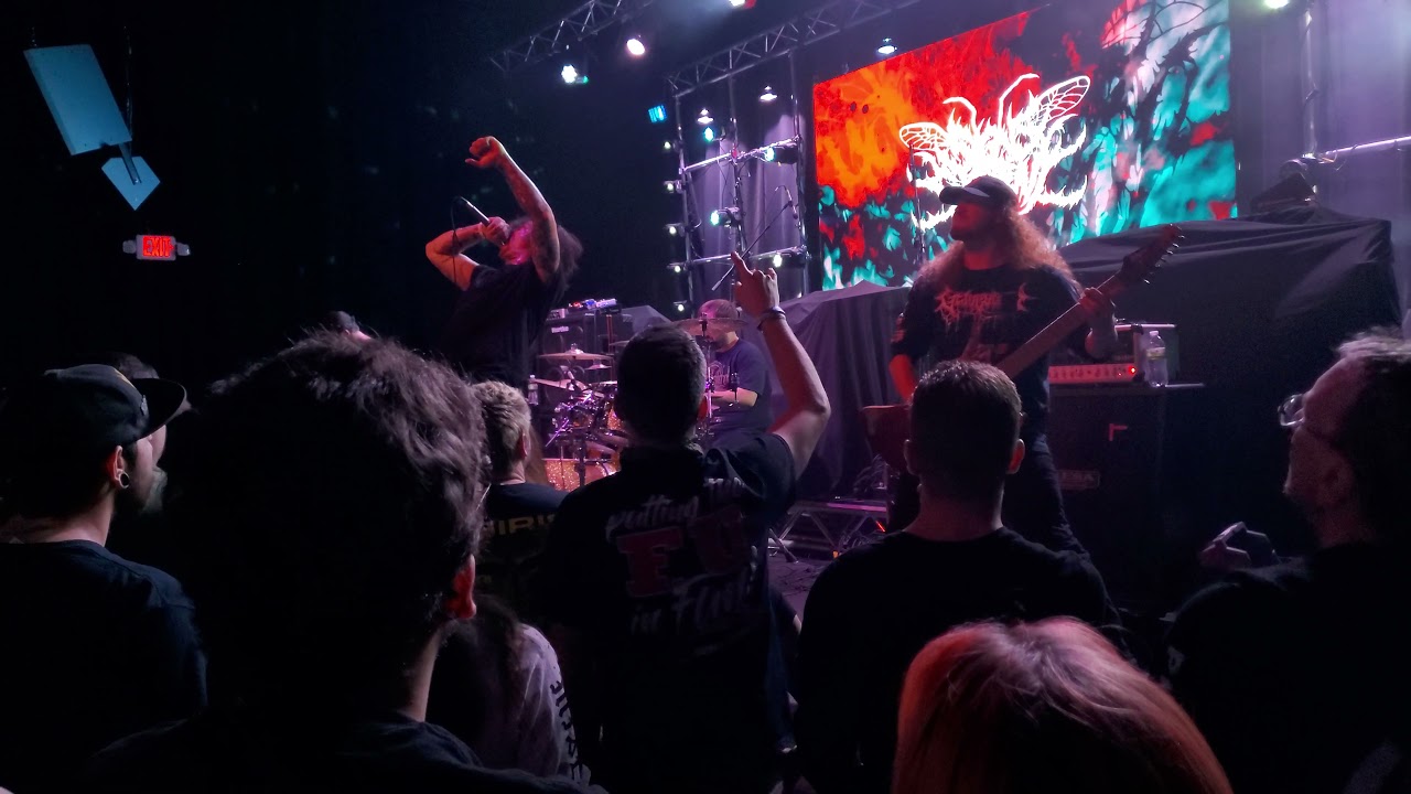 signs of the swarm "death whistle" the riff springfield mo 11/19/21 ...