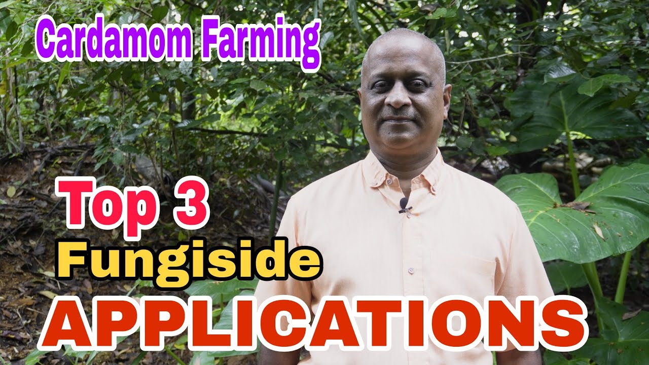 Top 3 Fungiside Applications and Its Dossage | ഏലം കൃഷി | Cardamom Farming Malayalam - YouTube