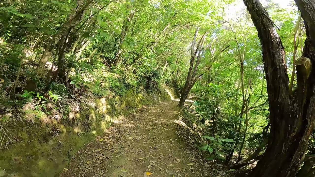 Kaka Valley morning walk - YouTube