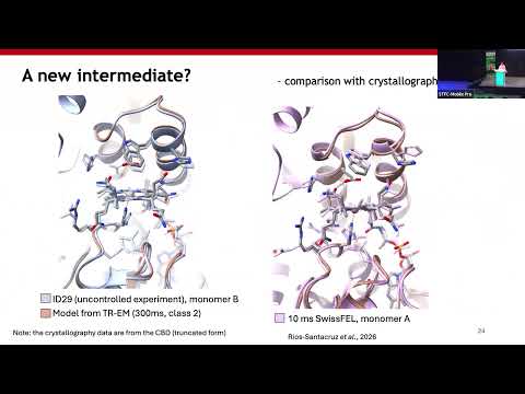 Visualizing the B12-dependent photoreceptor CarH - Maria Davila (IBS)