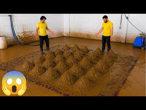 60-Year-Old Carpet TRANSFORMATION Will Blow Your Mind