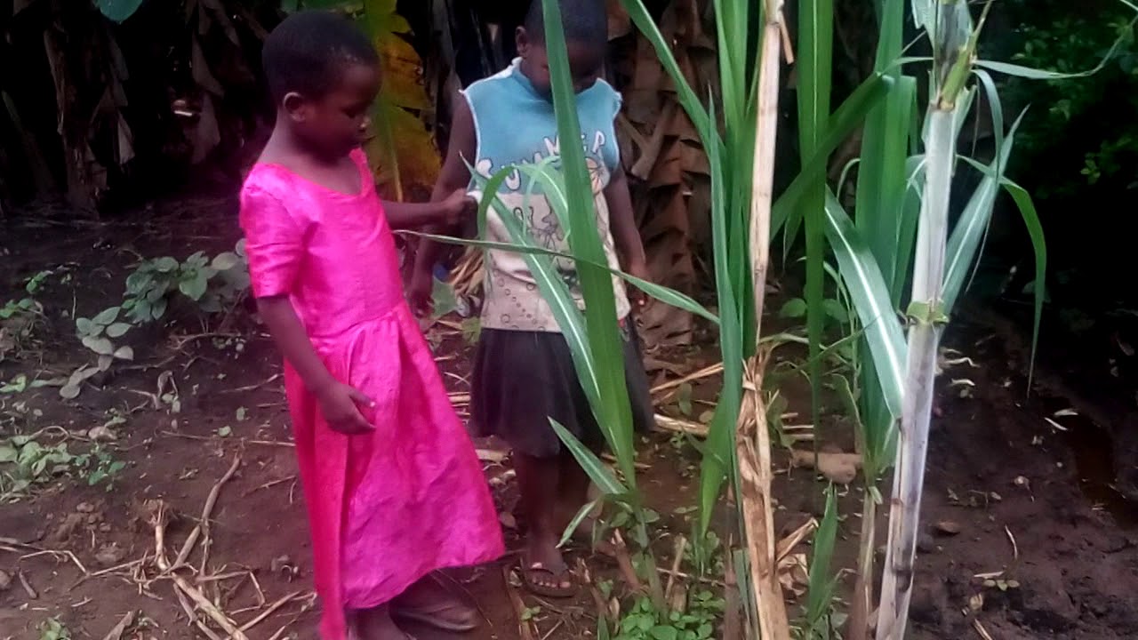 Bubu video _1 - YouTube