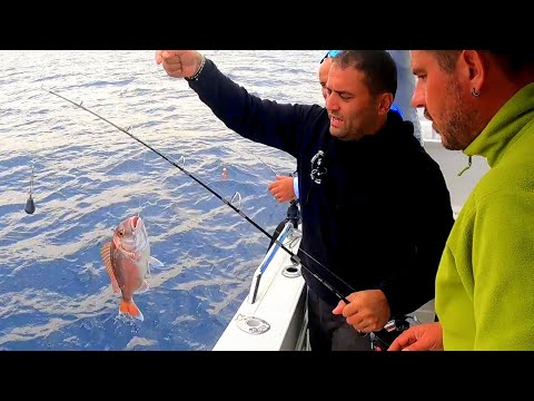 Sinarit Avlamak İçin 1 Kiloluk Dip Sirtisi Nasıl Bağlanır I Fangri Mercan Başladı