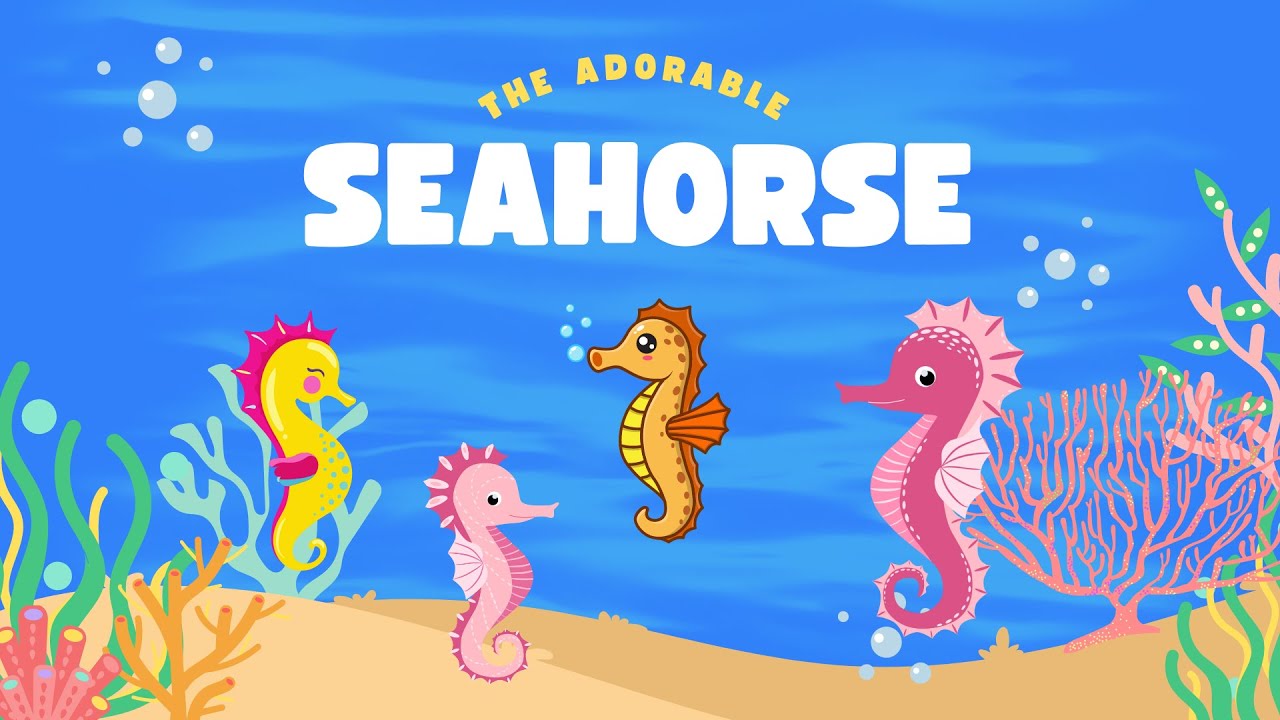 Meet the Adorable Seahorse: A Tiny Creature of the Sea | Learning ...