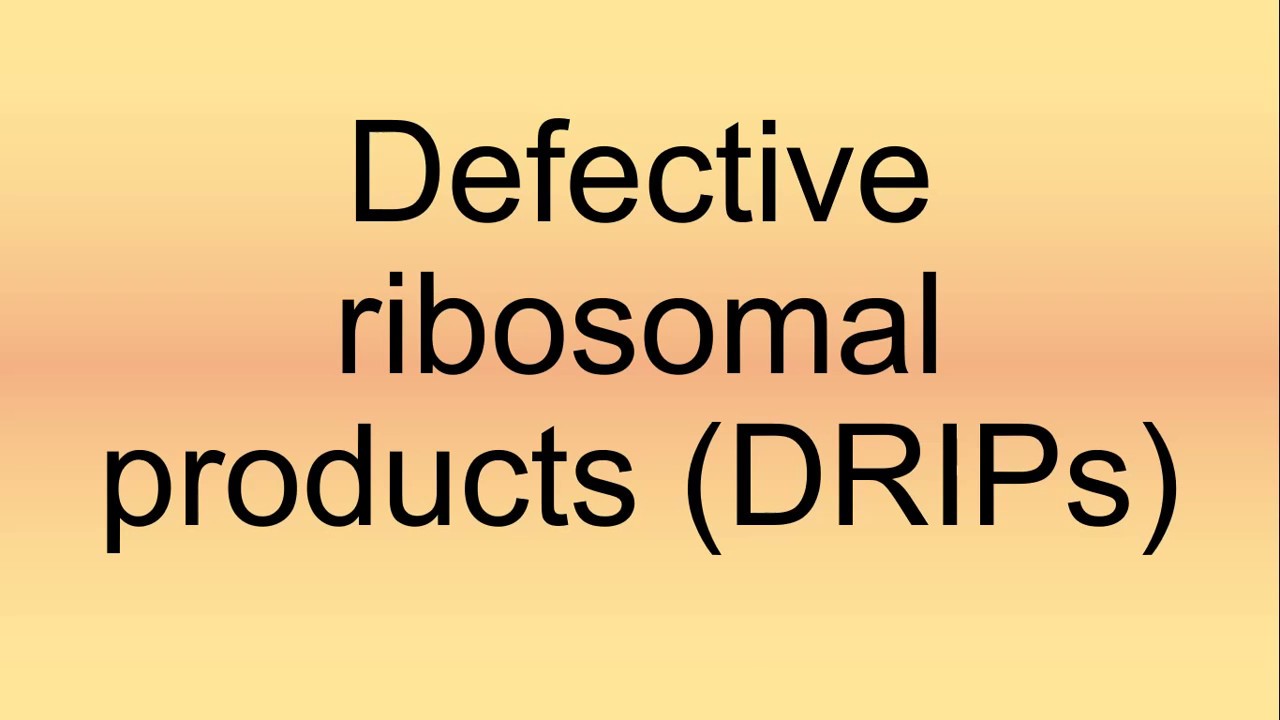 Defective Ribosomal Products (DRiPS) Pronunciation | How to Say | How ...
