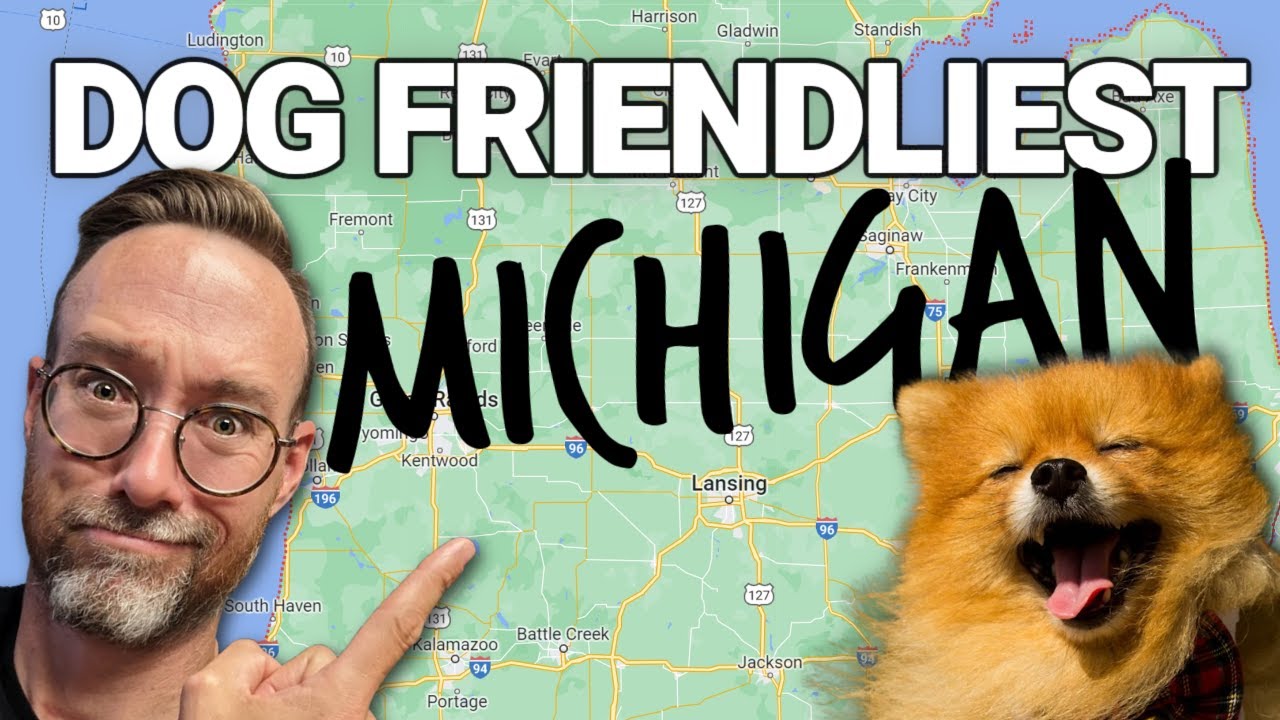 Where to live in Michigan WITH DOGS - YouTube