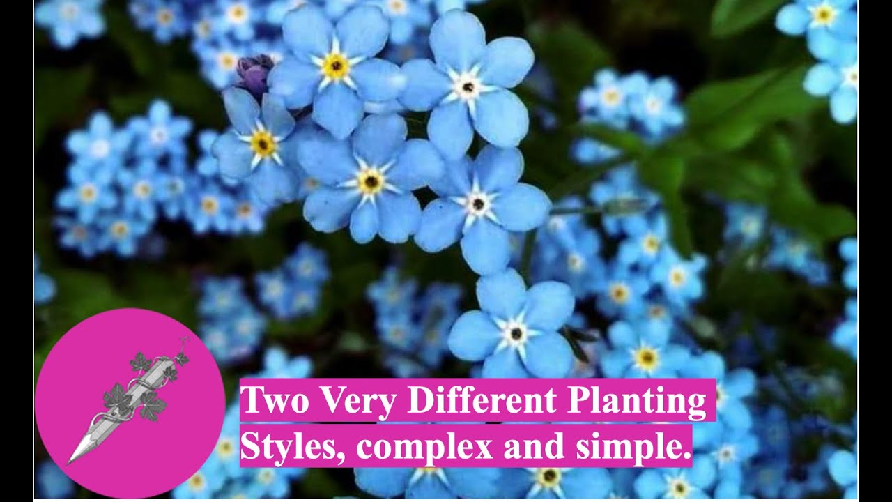 Two Very Different Planting Styles, complex and simple - YouTube