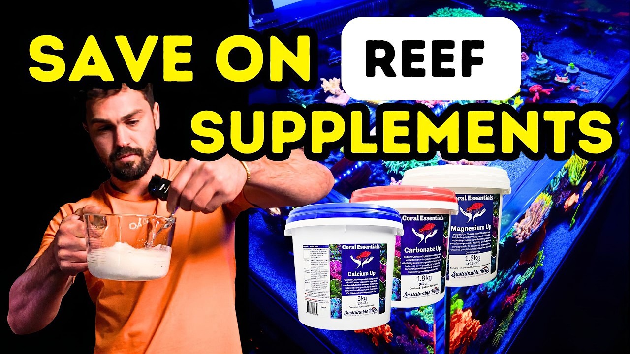 Save BIG With Reef Powders Equal Part Dosing | Coral Essentials - YouTube
