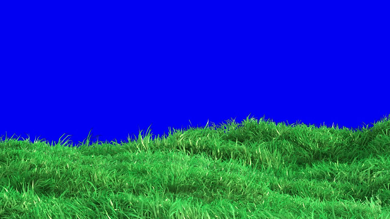 Grass Foreground loop | Chroma Key Footage No Copyright | GREENPRISM ...