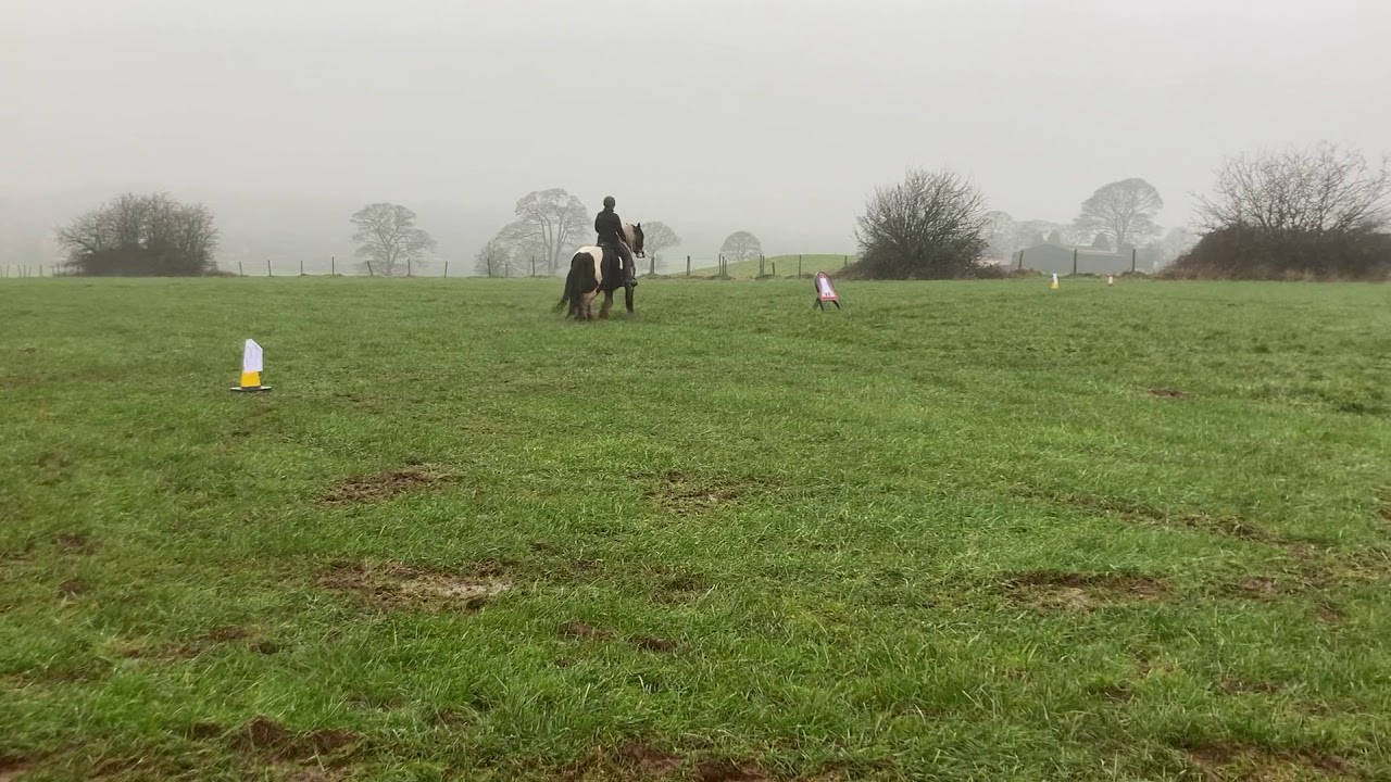 Jennifer Moseley dressage (will) - YouTube