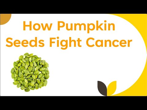 How Pumpkin Seeds Fight Cancer - YouTube