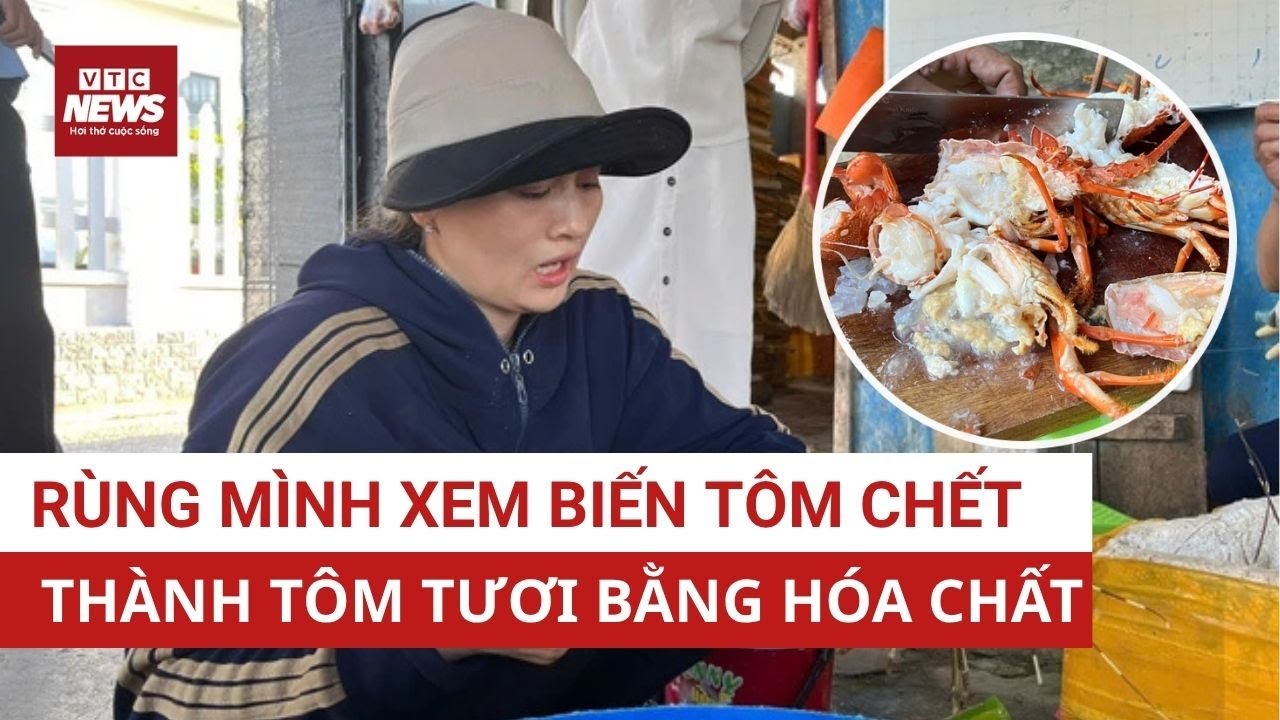 Tôm hùm hay… 'bom hùm', Sự thật rùng mình phía sau những con tôm béo ...