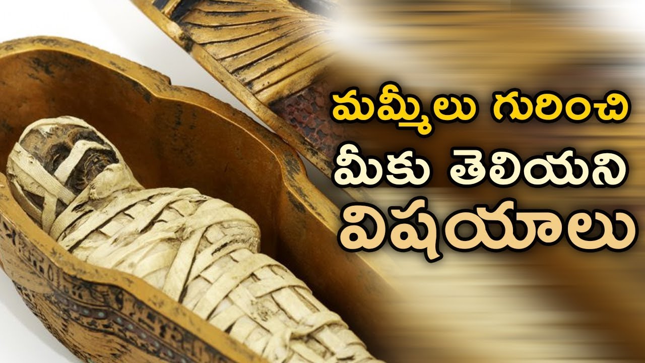 Facts About Mummies Telugu facts-about-mummies-telugu