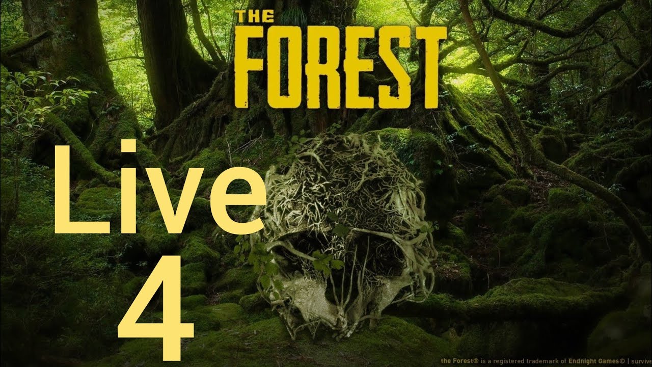 The Forest live 06/08/2021 00:30 #forest - YouTube