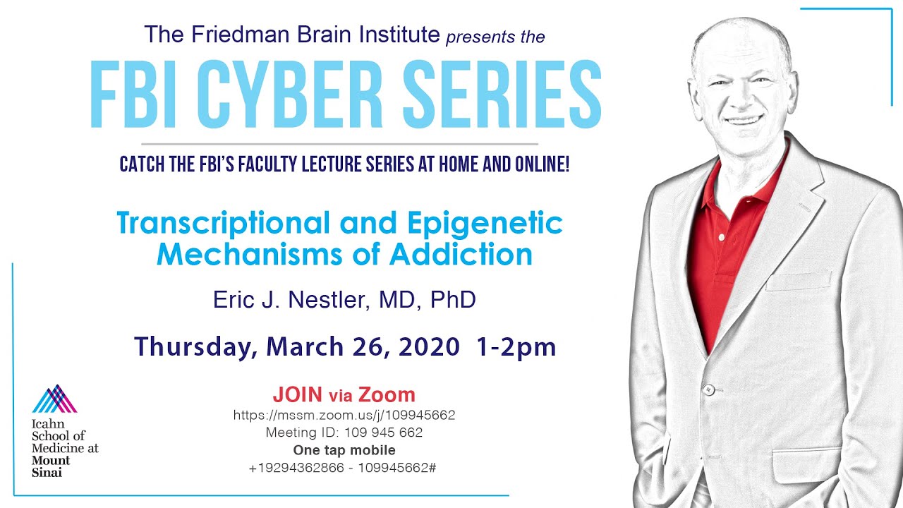 FBI Cyber Series - Transcriptional and Epigenetic Mechanisms of ...