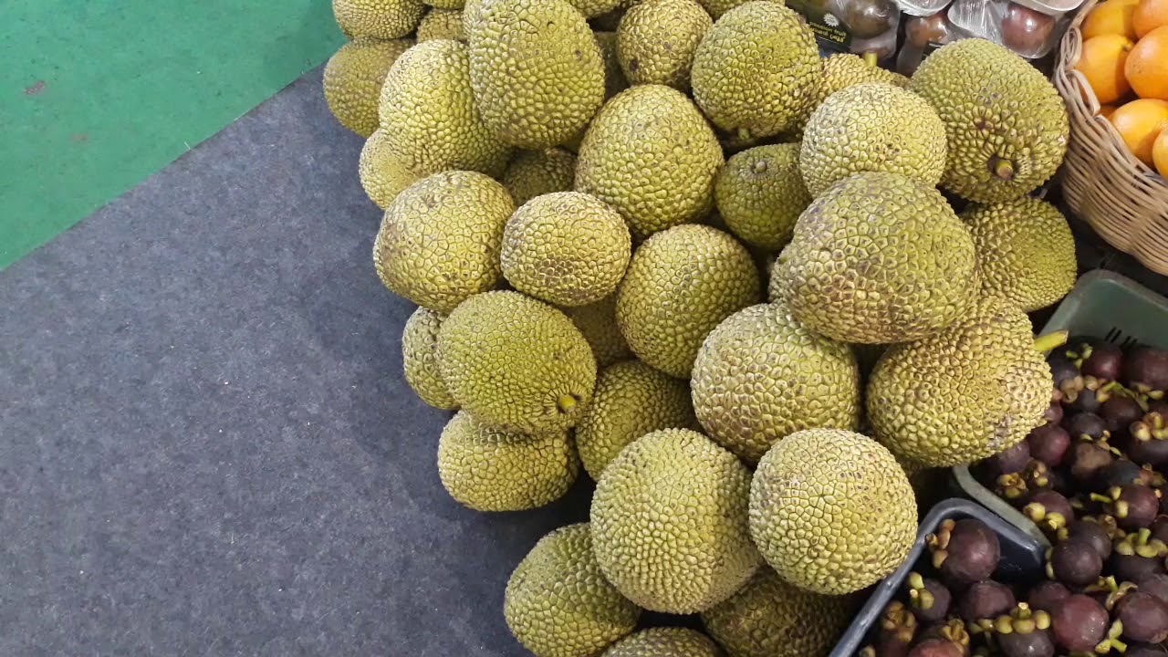 താമര ചക്ക Lotus Jack Fruit - YouTube