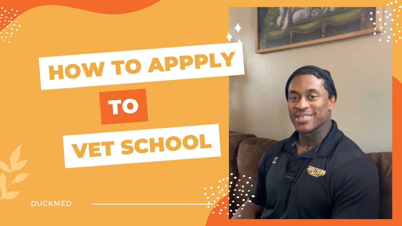 How to Apply for Vet School: The Basics - YouTube