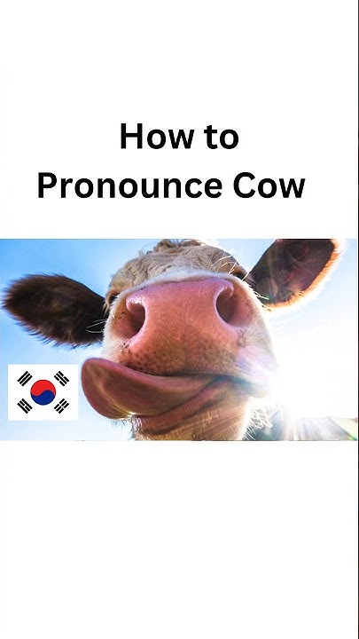 How to pronounce cow in different languages - YouTube