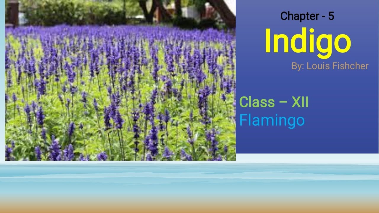 #Class_12 #Chapter_5 #Indigo - YouTube