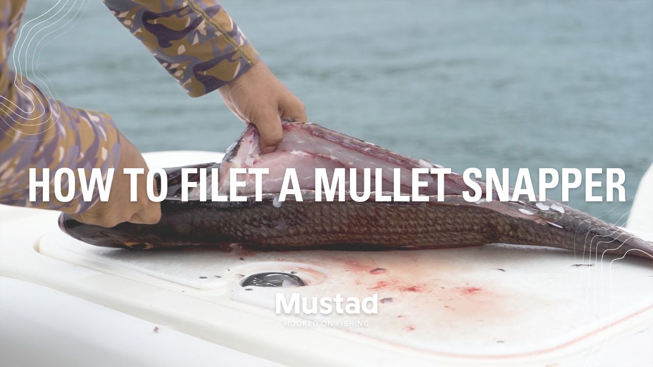 How To Filet A Mullet Snapper | Mustad Fishing - YouTube