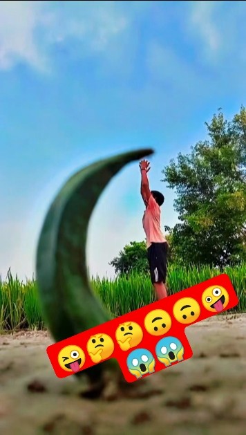 😱🥱😎Creative #video graph# idea how# to style short #video# trending ...