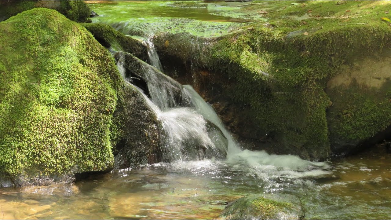 North Country Trail (3 Miles) - PA Route 59 to Hammond Run Waterfall ...